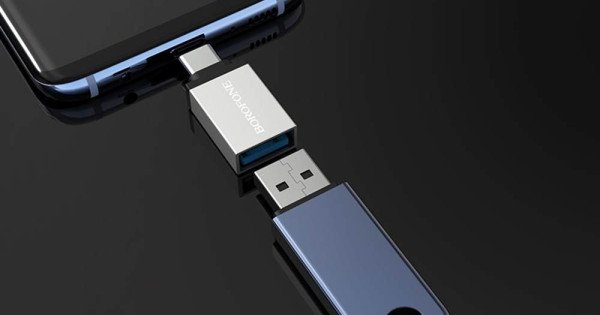 Type-C to USB Adapter (silver)